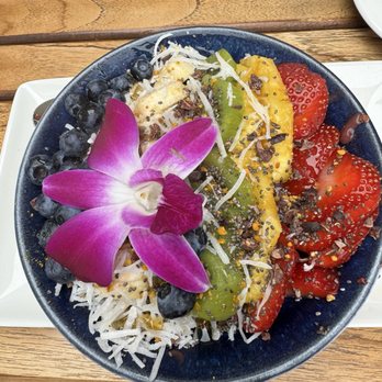 SHORESIDE - Updated December 2025 - 51 Photos - 1515 Ocean Ave, Santa ...