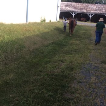 BULL RUN STABLES - Updated November 2025 - 6001 Bull Run Post Office Rd ...