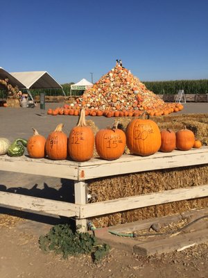 DAVIS RANCH, LLC - 461 Photos & 150 Reviews - 13211 Jackson Rd ...