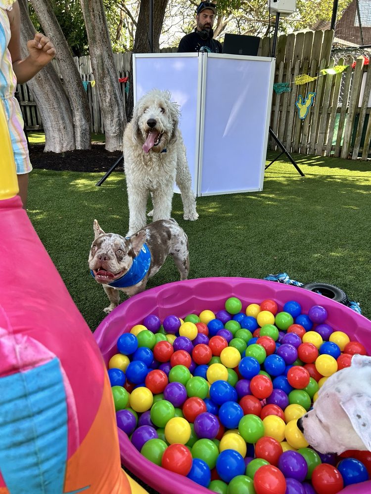 SOUTH MIAMI DOG PARK - Updated June 2025 - 42 Photos - 6380 SW 78th St ...