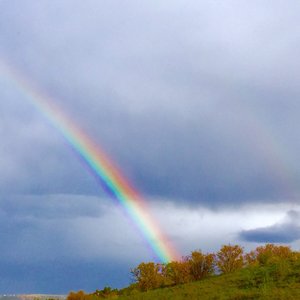 MCCABE MEADOWS PARK - 29 Photos - Parks - 19700 Indian Pipe Ln, Parker ...