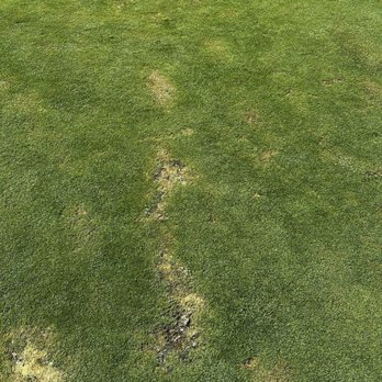 DAVID L. BAKER GOLF COURSE - Updated June 2025 - 356 Photos & 182 ...