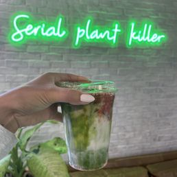 CAFE MOLLIE - 177 Photos & 89 Reviews - 6031 N 16th St, Phoenix ...