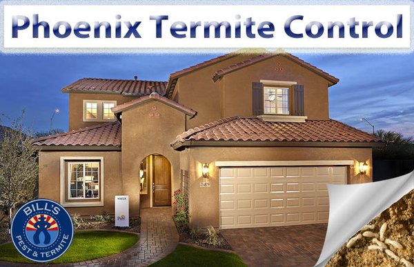 BILLS PEST TERMITE CONTROL - Updated December 2024 - 93 Photos & 346 ...