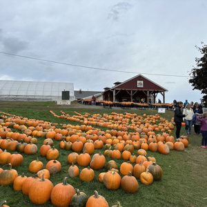 CONNORS FARM - Updated June 2025 - 202 Photos & 336 Reviews - 30 Valley ...