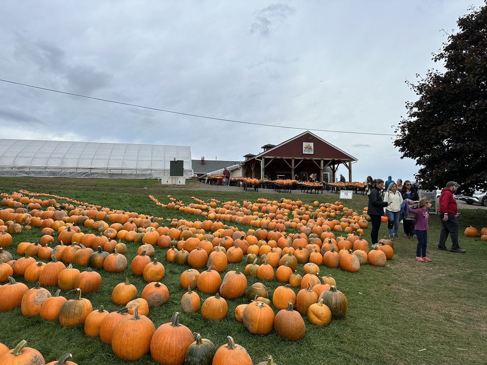 MARINI FARM - Updated July 2025 - 67 Photos & 47 Reviews - 259 ...