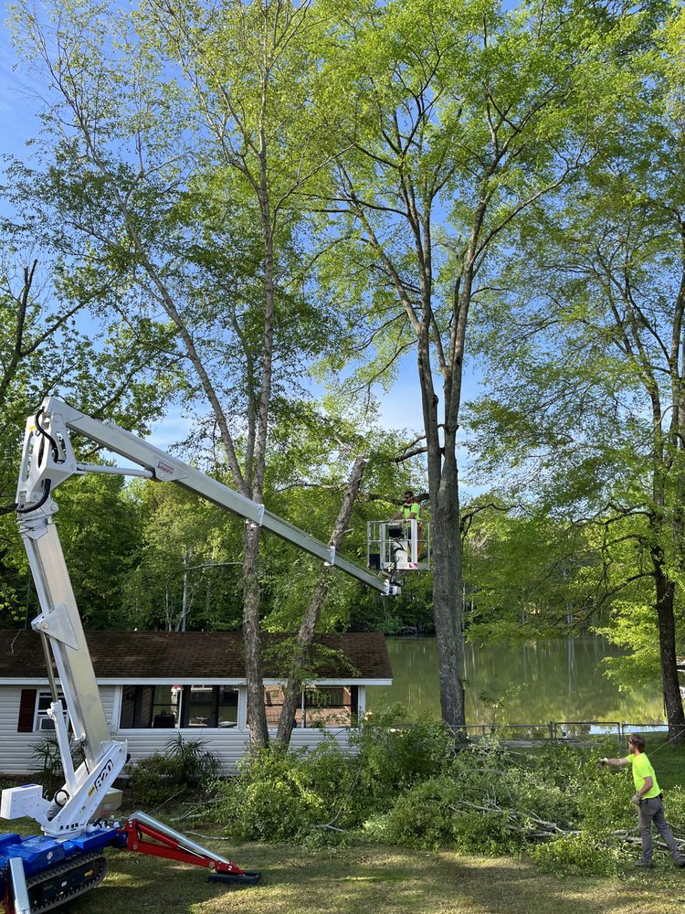 ASAP TREE SERVICE - Updated September 2025 - Chapin, South Carolina ...