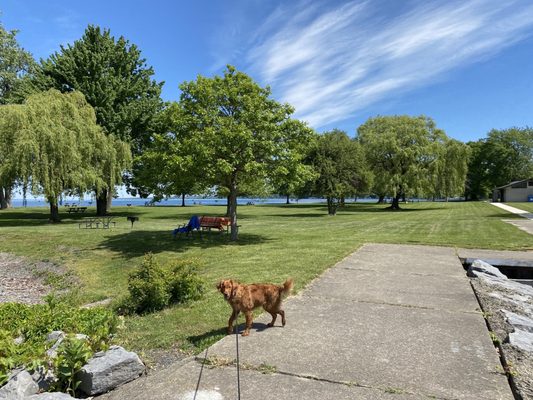 LODI POINT STATE PARK - Updated September 2025 - 19 Photos - Lower Lake ...
