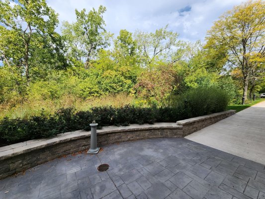 PALATINE LIBRARY DISTRICT - Updated October 2025 - 138 Photos & 27 ...