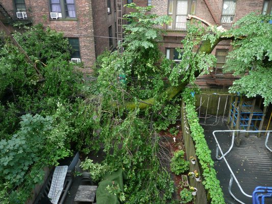 THE LAW FIRM OF ADAM KALISH - Updated September 2025 - 21 Reviews ...