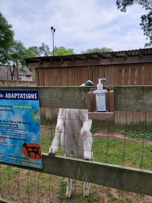 WUNDERLICH FARM AND HISTORIC KLEIN - Updated January 2026 - 30 Photos ...