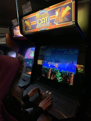 GALLOPING GHOST ARCADE - Updated March 2025 - 380 Photos & 371 Reviews - 9415 Ogden Ave ...