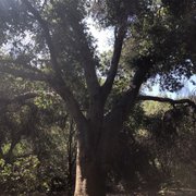 SHIPLEY NATURE CENTER - 274 Photos & 41 Reviews - Parks - 17851 ...