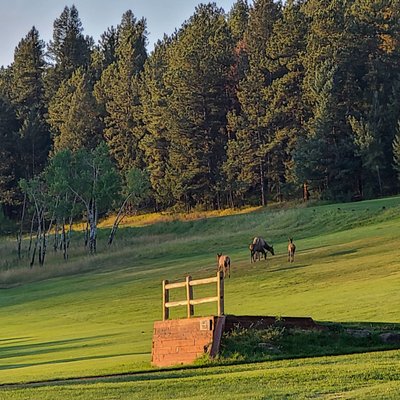 EVERGREEN GOLF COURSE - Updated August 2025 - 19 Photos & 33 Reviews ...