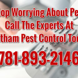 WALTHAM PEST CONTROL - 24 Reviews - 97 Cambridge St, Burlington ...