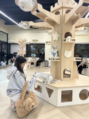 MEOW WOO STUDIO - Updated October 2025 - 40 Photos - 9555 Yonge Street ...