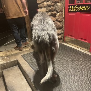 ROCK REST LODGE - Updated December 2025 - 111 Photos & 262 Reviews ...