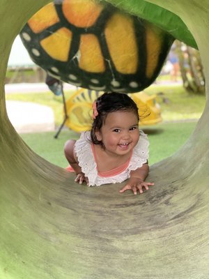 PANA’EWA RAINFOREST ZOO & GARDENS - 732 Photos & 217 Reviews - 800 ...