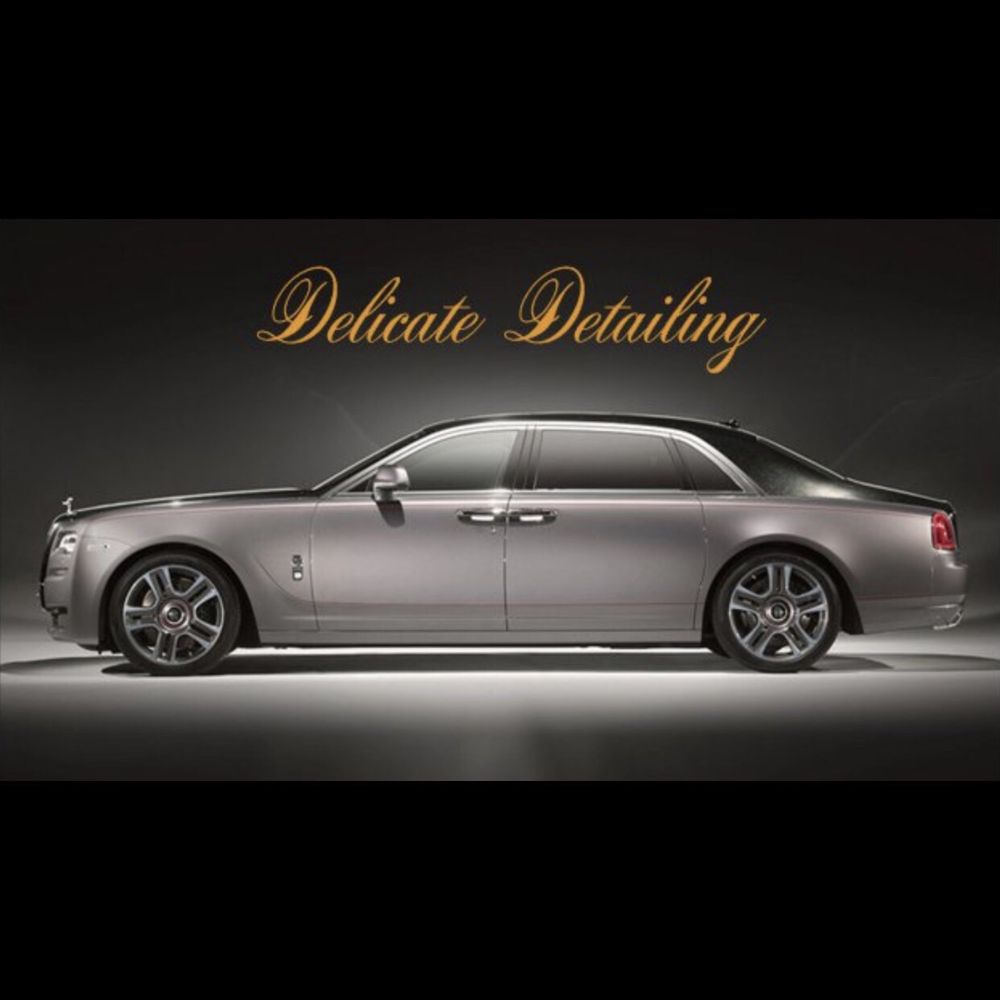 DELICATE DETAILING - Updated March 2025 - West Palm Beach, Florida ...