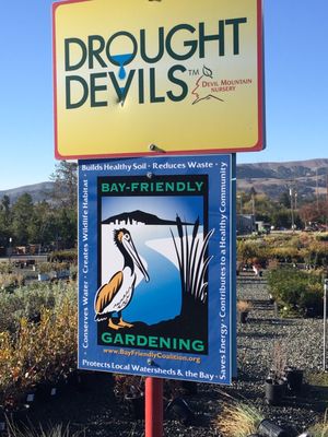 DEVIL MOUNTAIN WHOLESALE NURSERY - SAN RAMON - Updated November 2024 ...