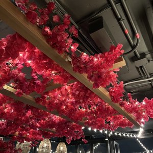 LUCHA ROSA ROOFTOP BAR - 106 Photos & 44 Reviews - 1011 K St NW ...