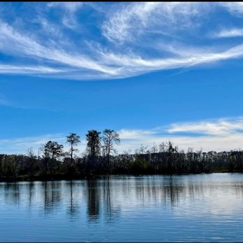 BAYOU SEGNETTE STATE PARK - Updated December 2025 - 66 Photos & 50 ...
