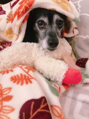 ELEMENTS COMPOUNDING PHARMACY - Updated October 2025 - 30 Reviews ...