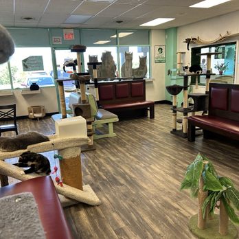 MOCHAS AND MEOWS - Updated October 2025 - 151 Photos & 91 Reviews ...