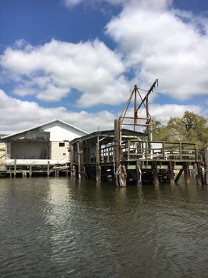 BON SECOUR FISHERIES - 17449 County Road 49 S, Bon Secour, Alabama ...