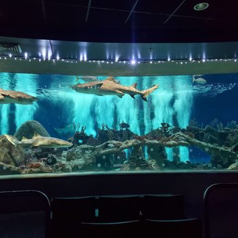 ARIZONA BOARDWALK - Updated January 2025 - 122 Photos & 29 Reviews ...