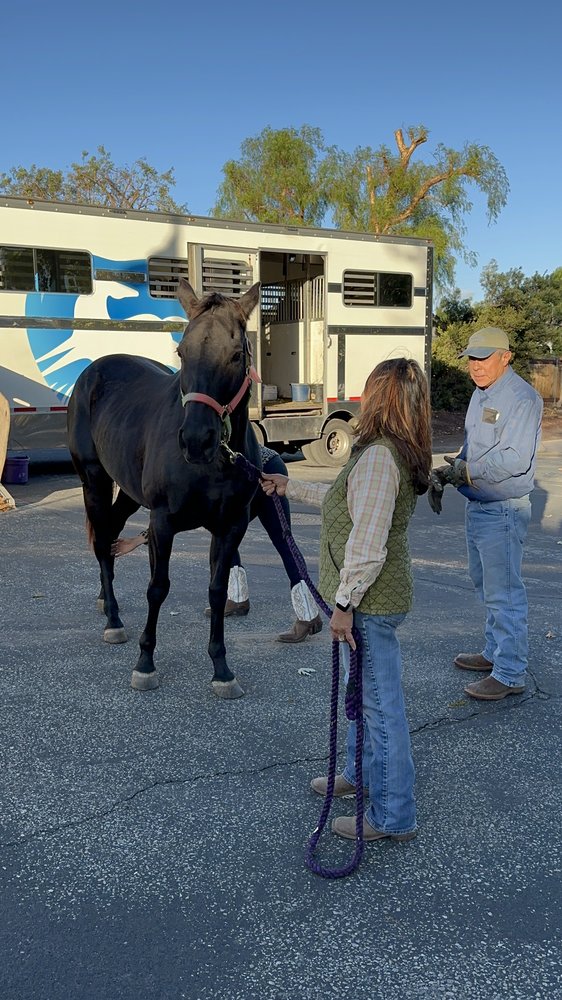 EQUINE EXPRESS N.A - Updated July 2025 - 40 Photos & 31 Reviews - 10042 ...