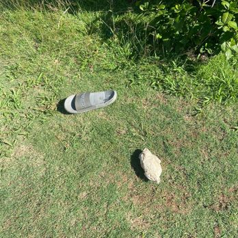 PEST TECH HAWAII - Updated June 2025 - 84 Photos & 120 Reviews - 2007A ...