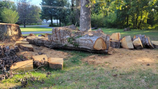 ASPLUNDH TREE EXPERT - Updated October 2025 - 80 Photos & 99 Reviews ...