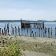 TITLOW BEACH AND PARK - 113 Photos & 33 Reviews - 8425 6th Ave, Tacoma ...