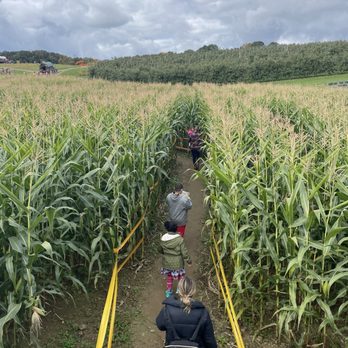 TRIPLE B FARMS - Updated July 2025 - 193 Photos & 71 Reviews - 823 ...