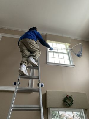 ANCHOR PEST CONTROL - Updated December 2025 - 13 Photos & 34 Reviews ...