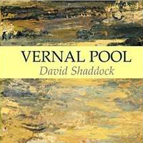 DAVID SHADDOCK - Updated June 2024 - 3030 Ashby Ave, Berkeley ...