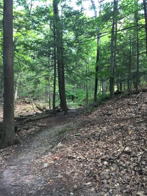 TOP COTTAGE - Updated May 2025 - 25 Photos - Hyde Park, New York ...