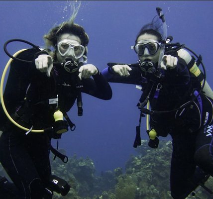 SCUBA NETWORK - MANHATTAN - Updated May 2024 - 36 Photos & 93 Reviews ...