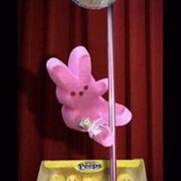 NORTHERN GENTLEMEN’S CLUB - 11 Photos - Nightlife - 325 10th St N ...