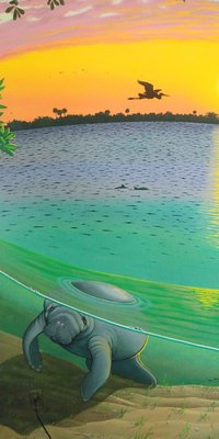 COCOA BEACH PUBLIC LIBRARY - Updated January 2026 - 43 Photos - 550 N ...