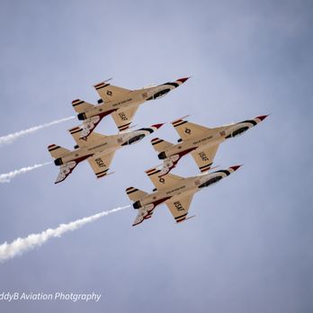 THUNDERBIRDS - Updated October 2025 - 323 Photos & 16 Reviews - 4445 ...