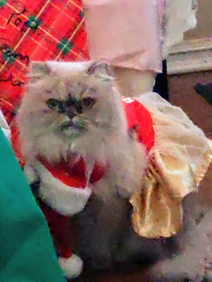 VALLEY VIEW POST ACUTE - Updated December 2025 - 23 Photos & 17 Reviews ...