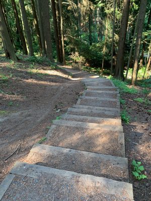 HAMLIN PARK - Updated July 2024 - 96 Photos & 44 Reviews - 16006 15th ...