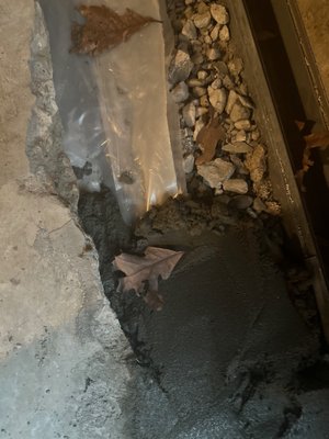 WOODS BASEMENT SYSTEMS - Updated October 2025 - 78 Photos & 89 Reviews ...