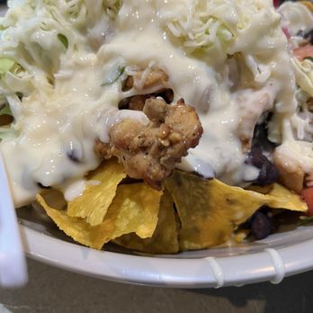 GRUMPY GRINGO - Updated December 2025 - 293 Photos & 481 Reviews - 2510 ...