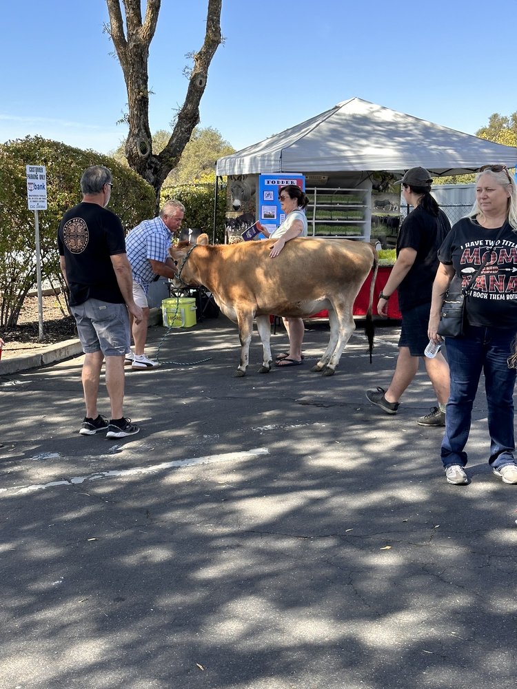 LOOMIS EGGPLANT FESTIVAL - Updated October 2025 - 63 Photos & 10 ...