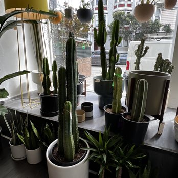 URBAN SCOUT - SAN FRANCISCO - Updated October 2025 - 47 Photos & 17 ...