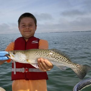 CAPTAIN AARON LOWMAN - Updated May 2025 - 53 Photos - 4110 127th St W ...