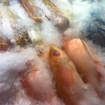 POOLER SEAFOOD - Updated December 2025 - 35 Photos & 53 Reviews - 1137 ...